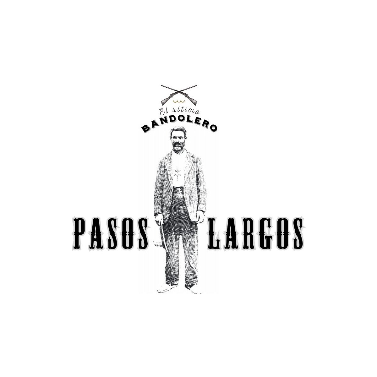 Brandy Pasos Largos 38% vol., 50cl kaufen | RIVERAWINE.CH, CHF 19,00